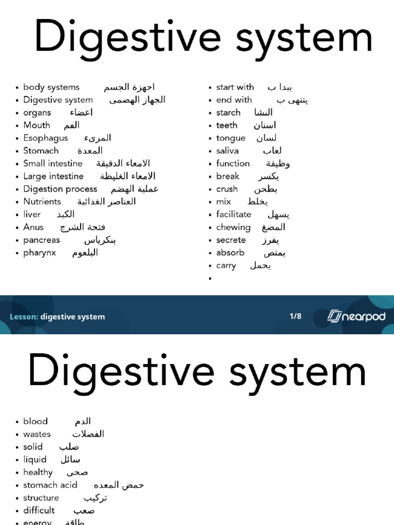 Digestive System | PDF