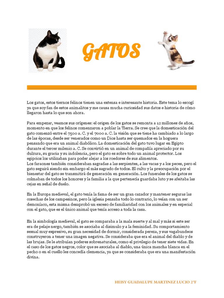 GATOS | PDF | Gatos | Nutrición
