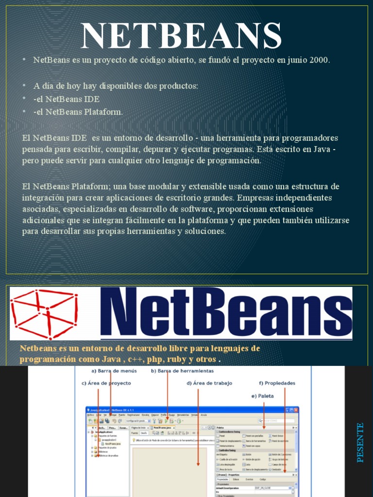 Netbeans | PDF | Aplicaciones y software | Frijoles Netos