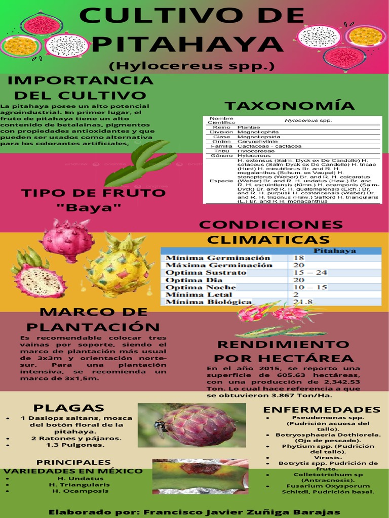 Cultivo de Pitahaya | PDF | Cocina vegana | Ramas de la botánica
