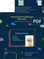 Morfología del perro: Graioides y Occipucio | PDF | Diente | Pastor alemán
