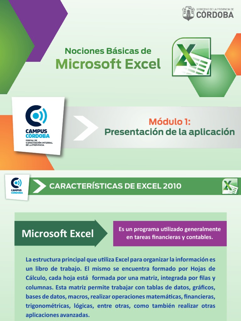 Modulo Excel | Descargar gratis PDF | Microsoft Excel | Hoja de cálculo