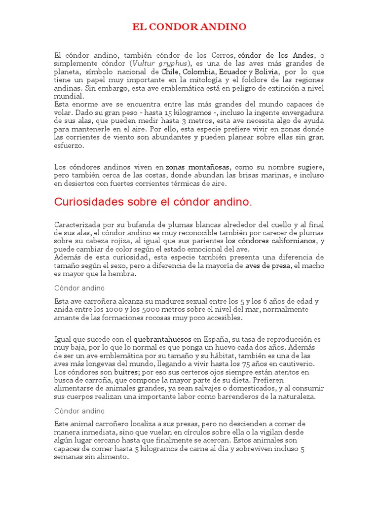 El Condor Andino | PDF | Aves | Ornitología