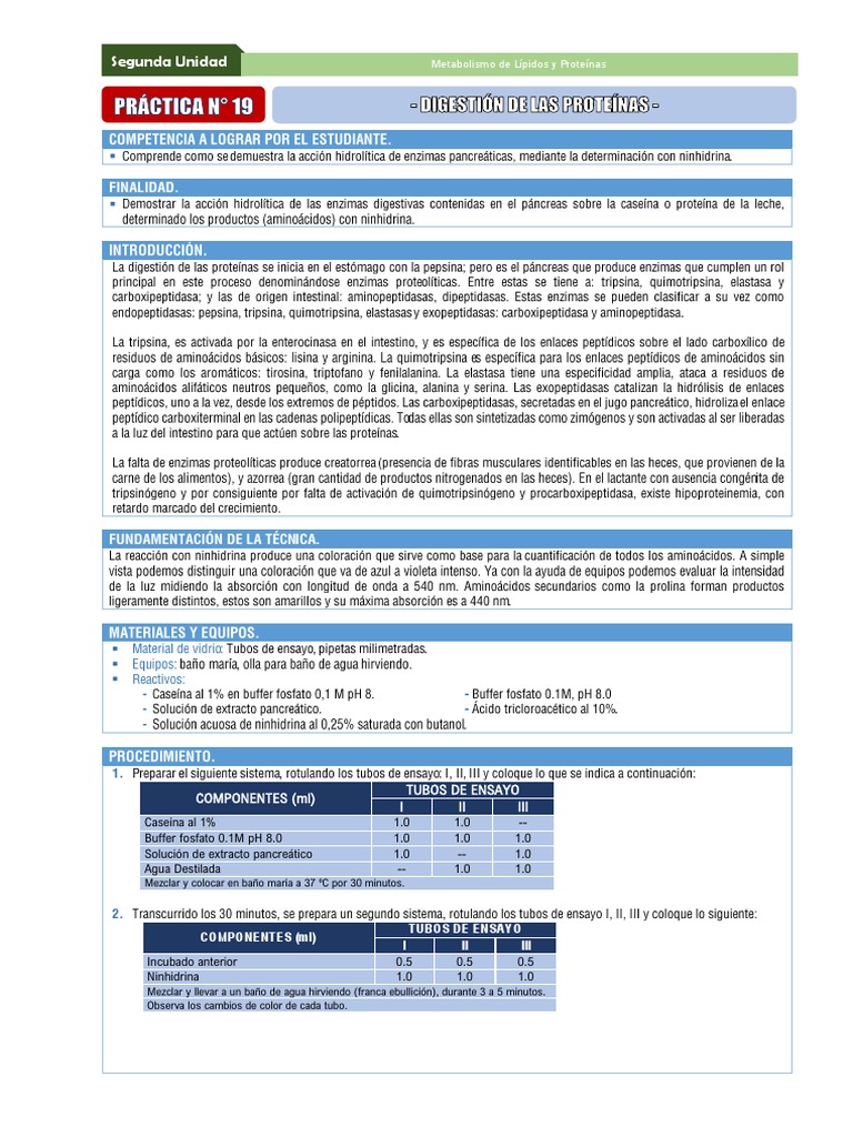 PRACTICA 19. Digestión de Proteínas | PDF