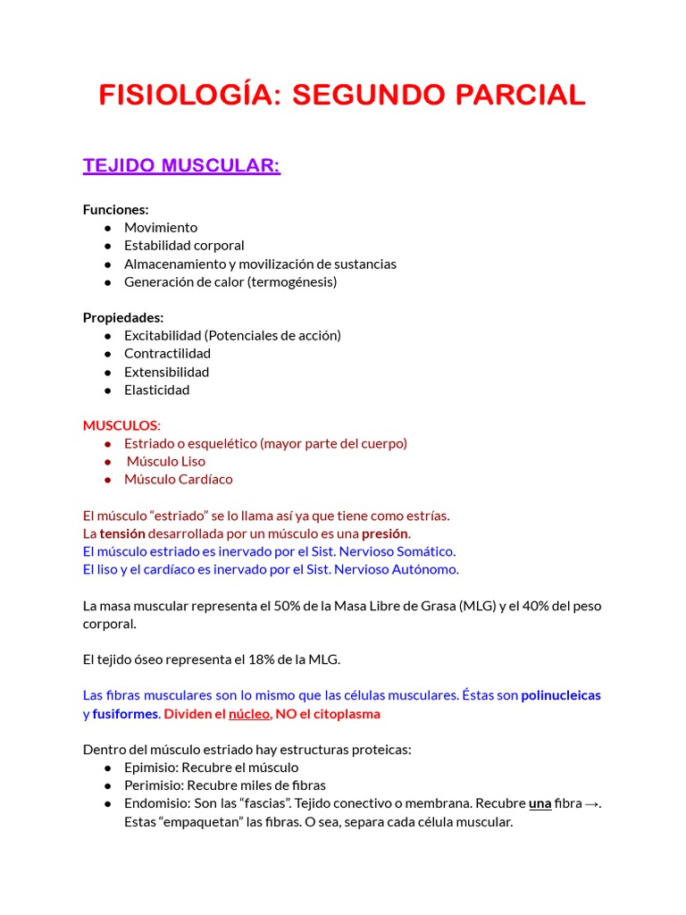 Fisiología - Segundo Parcial | PDF | Músculo | Contracción muscular