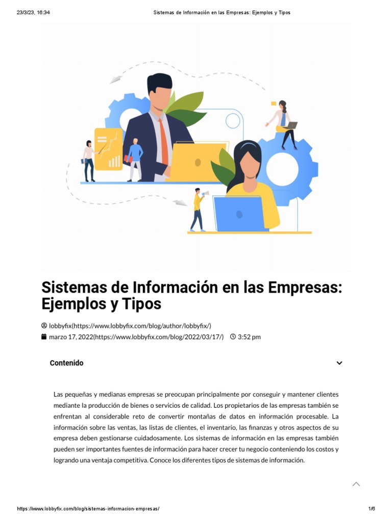 Sistemas de Información en Las Empresas - Ejemplos y Tipos | PDF ...