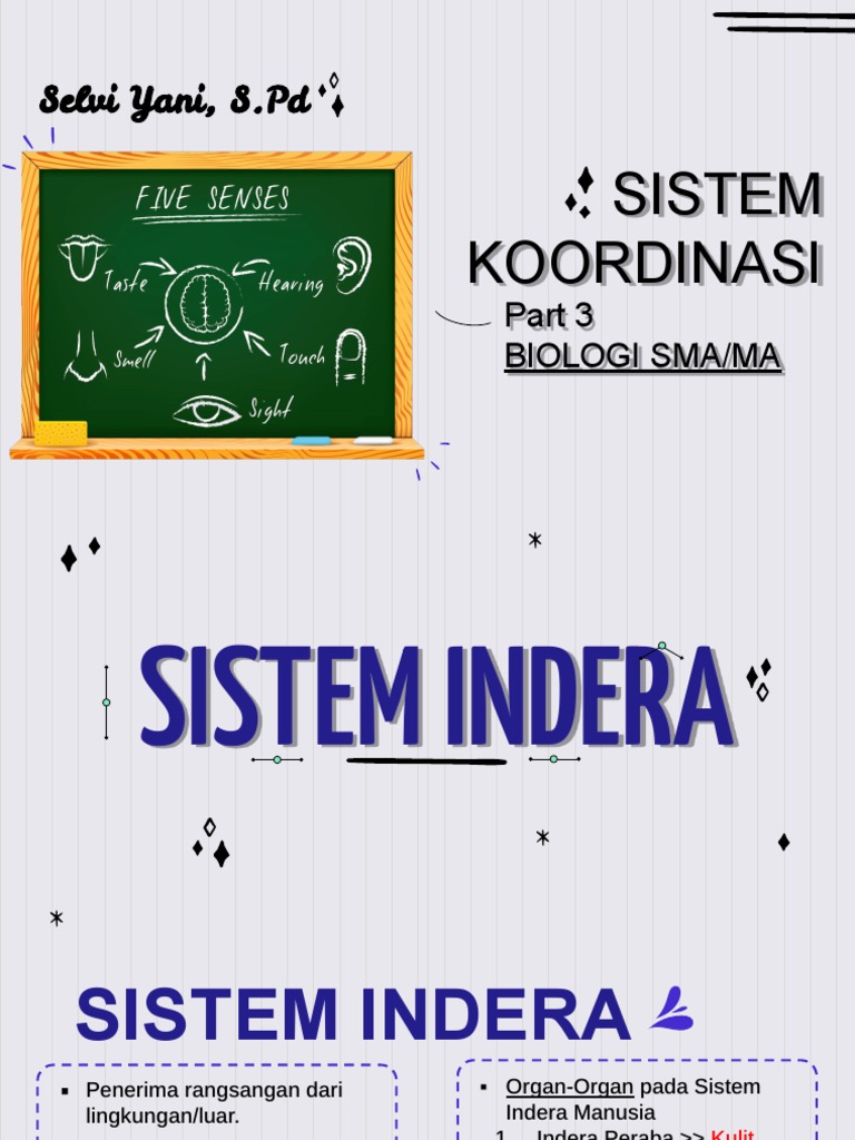 Sistem Koordinasi 3 (Sistem Indera) | PDF