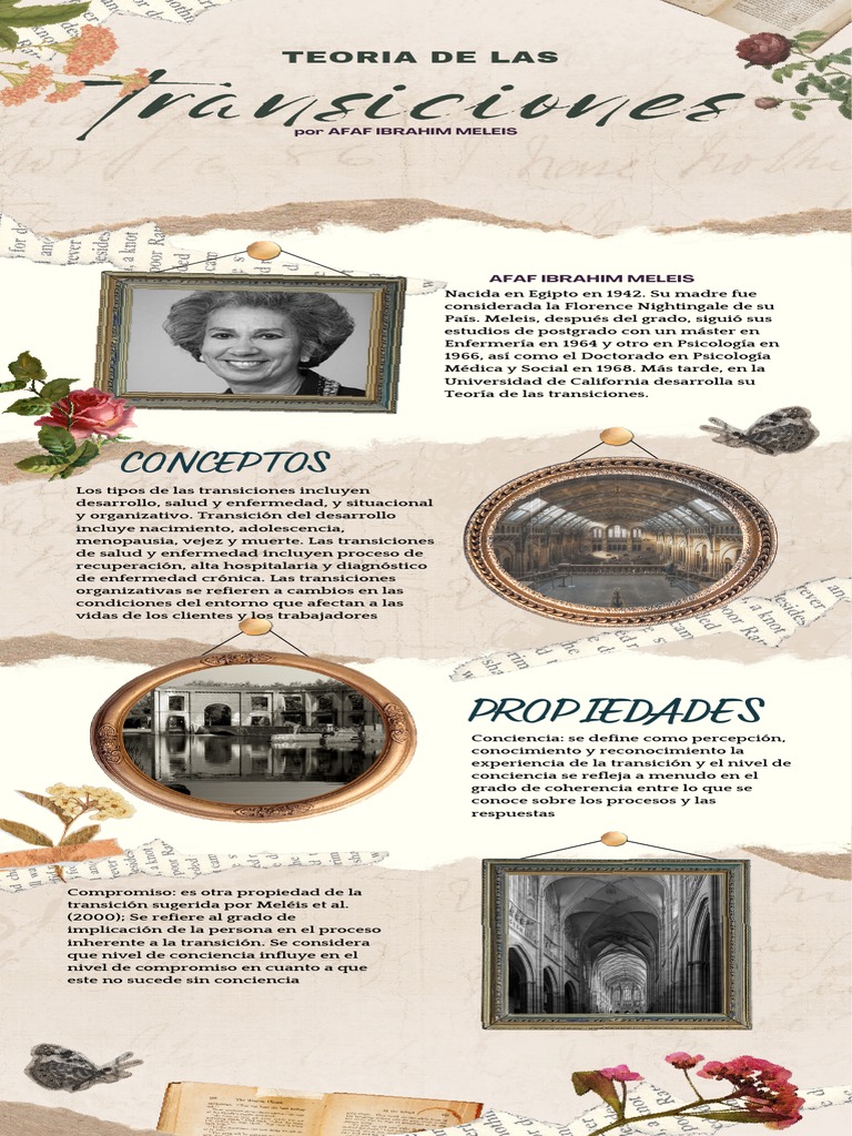 Infografia Afaf | PDF | Enfermería | Teoría