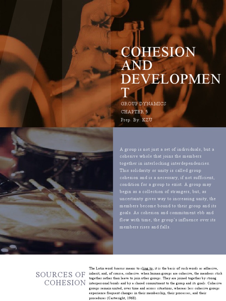 CHAPTER 5cohesion AND DEVELOPMENT | PDF | Group Cohesiveness ...