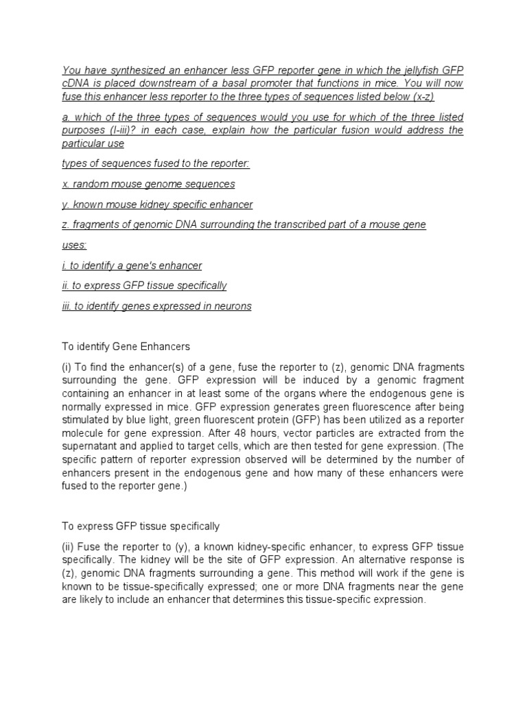 Biochemistry Activity | PDF | Gene | Gene Expression
