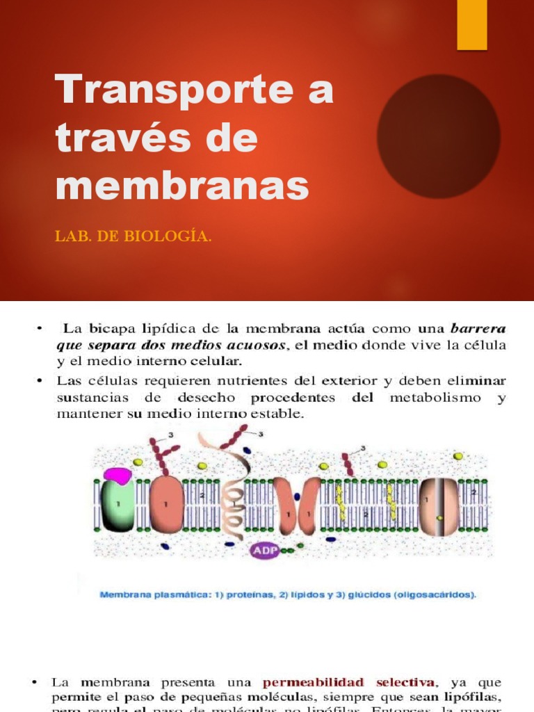 Transporte A Través De Membranas Pdf
