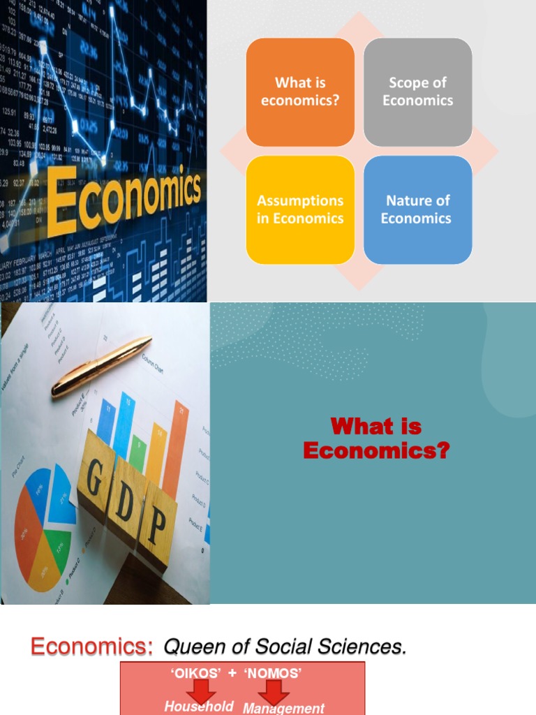 Economics: Definitions and Scope | PDF | Politics