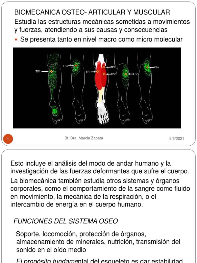 BF BIOMECANICA . - GENERALIDADES 1ER SEM 2021 | PDF