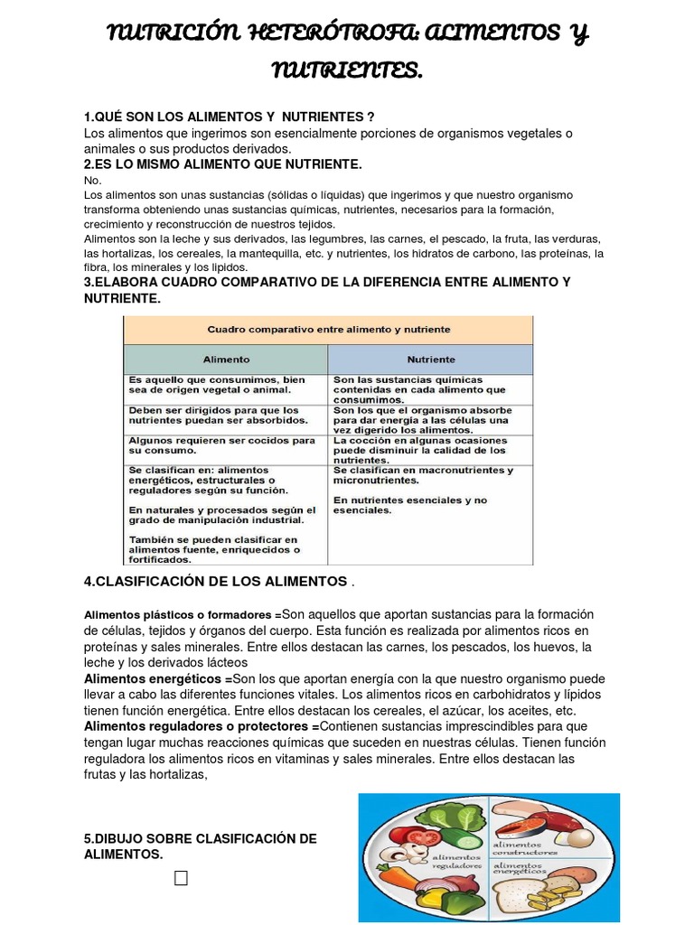 Nutrición Heterótrofa - Alimentos y Nutrientes | PDF