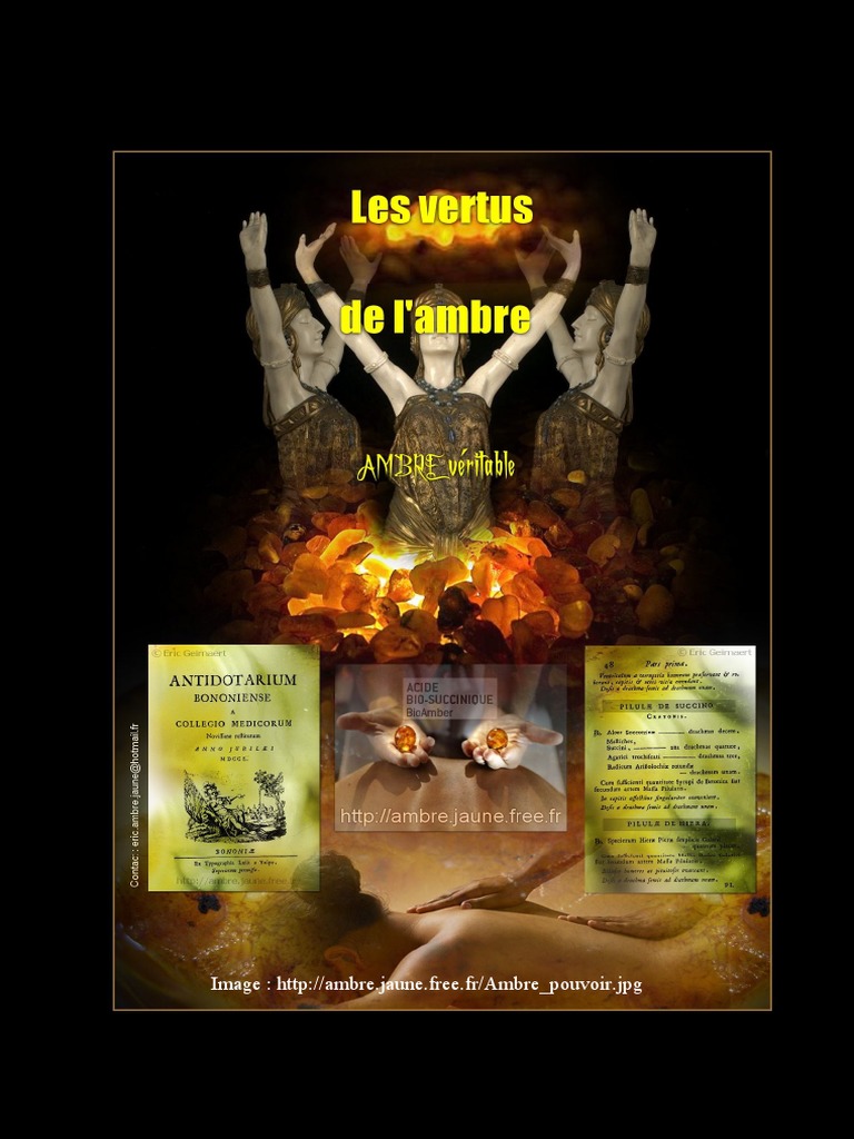 Les Vertus de L Ambre | PDF | Ambre | Science