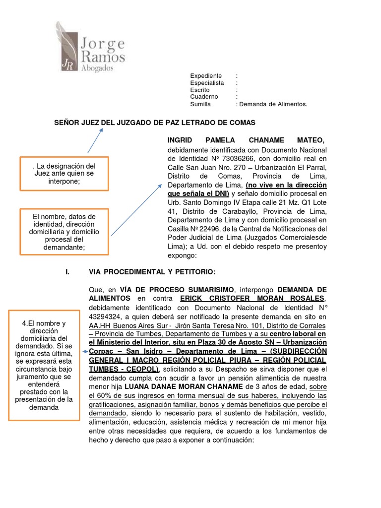 Demanda Art 424 | PDF | Demanda judicial | Pensión alimenticia