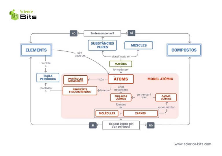 Sciencebits Mapa Conceptual | PDF