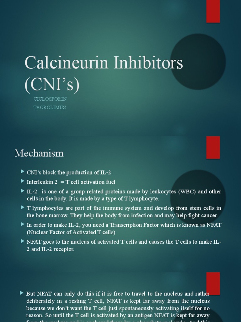 Immunosuppressants for Transplant Patients | PDF | Interleukin 2 | T Cell