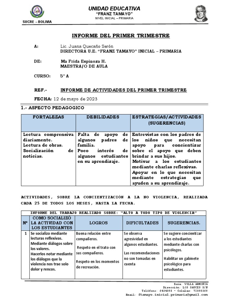 Modelo de Informe | PDF