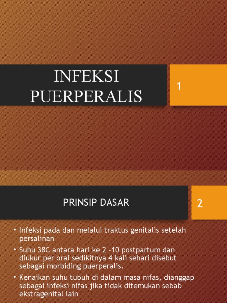 Infeksi Puerpuralis | PDF