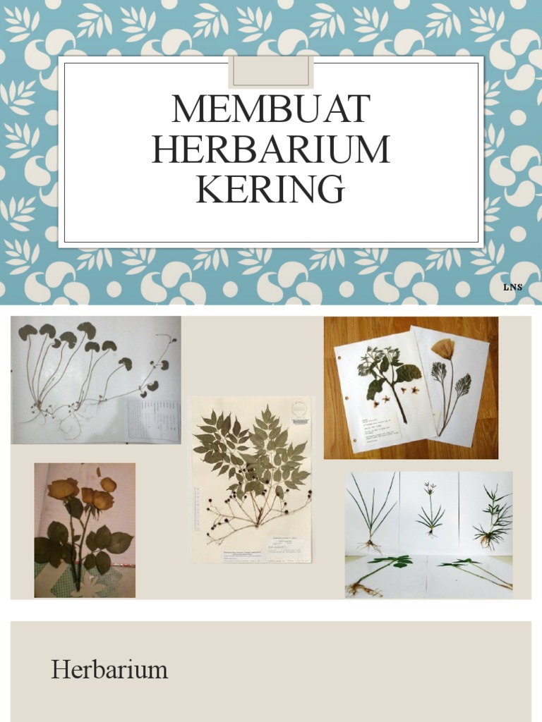 Membuat Herbarium Kering Pdf