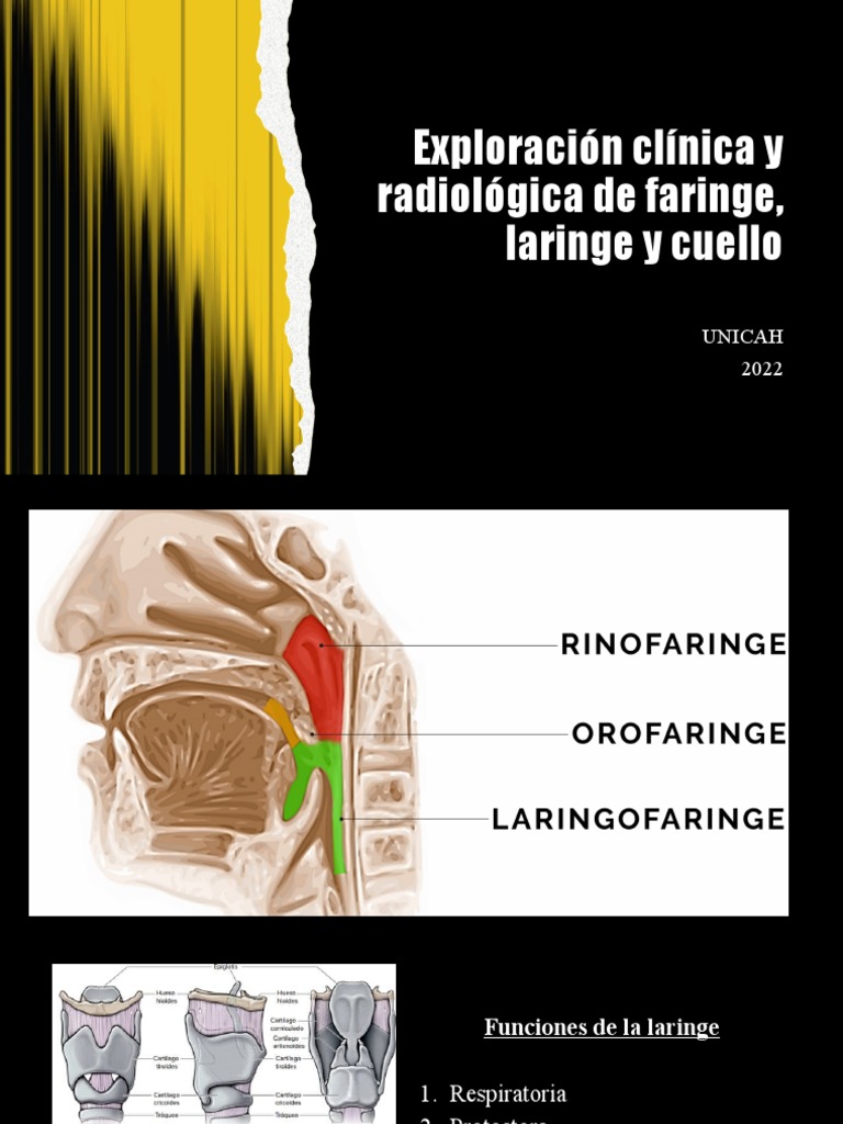 Exploracion Faringe, Laringe y Cuello | PDF | Boca | Examen físico