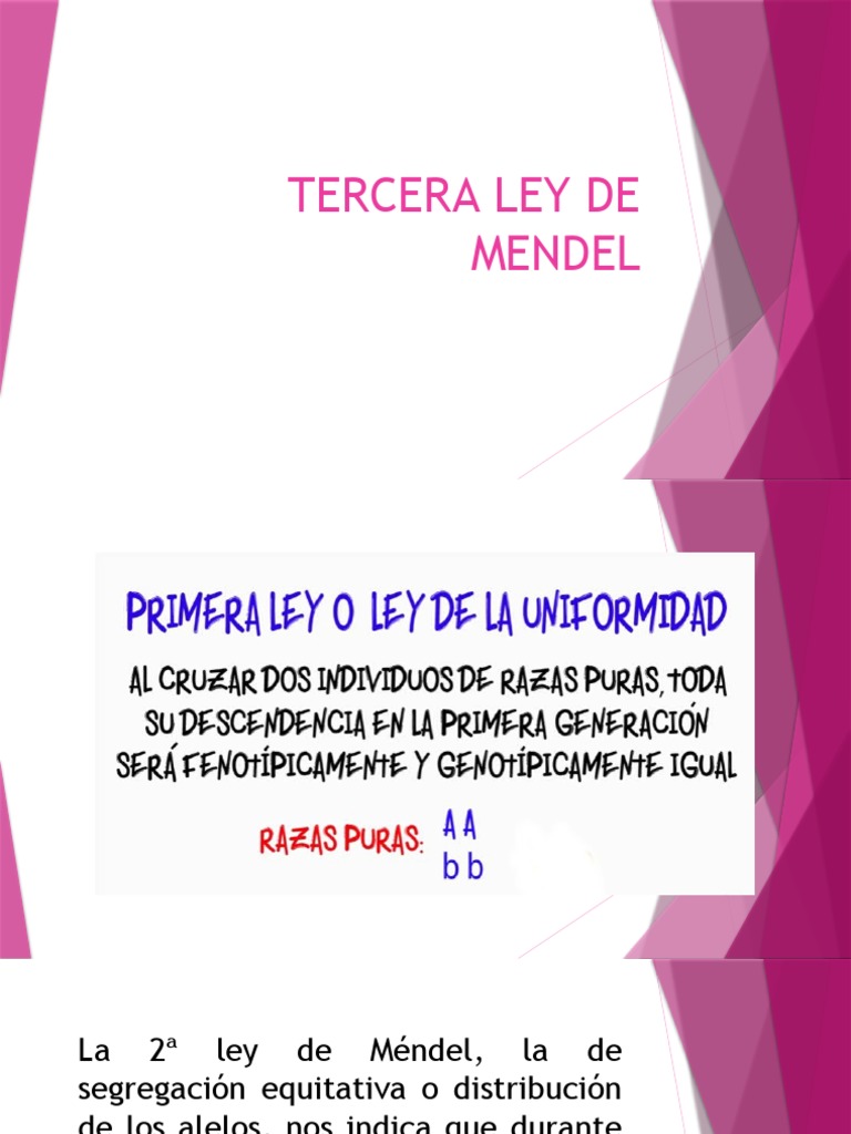 3ra Ley de Mendel | PDF