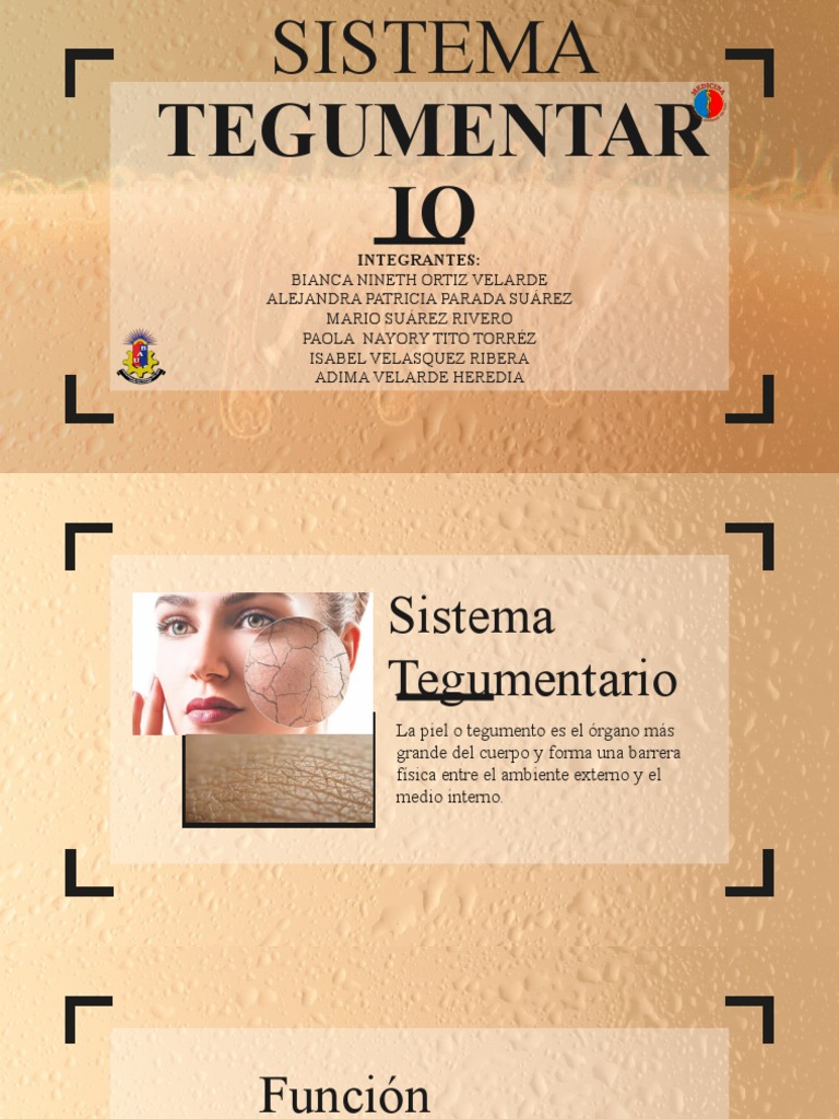Sistema Tegumentario | Descargar gratis PDF | Piel | Sistema tegumentario