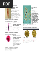 Parasite Summary Table Final | PDF | Veterinary Medicine | Animals And ...