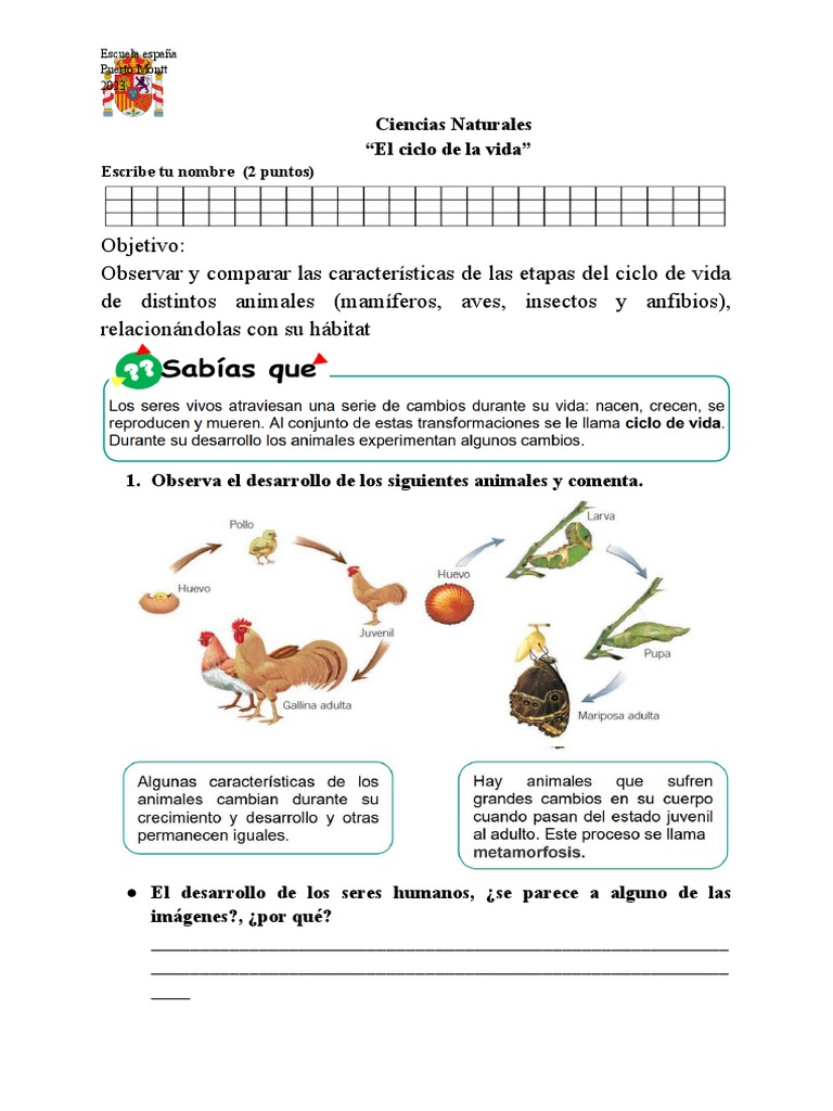 Ciencias Naturales Ciclo de La Vida | PDF