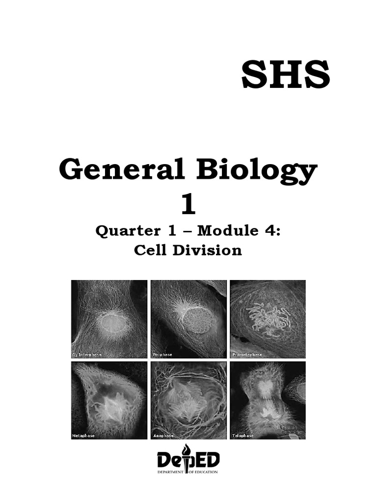 Gen. Bio 1 Q 1 - Week 4 Module 4 | PDF | Meiosis | Mitosis