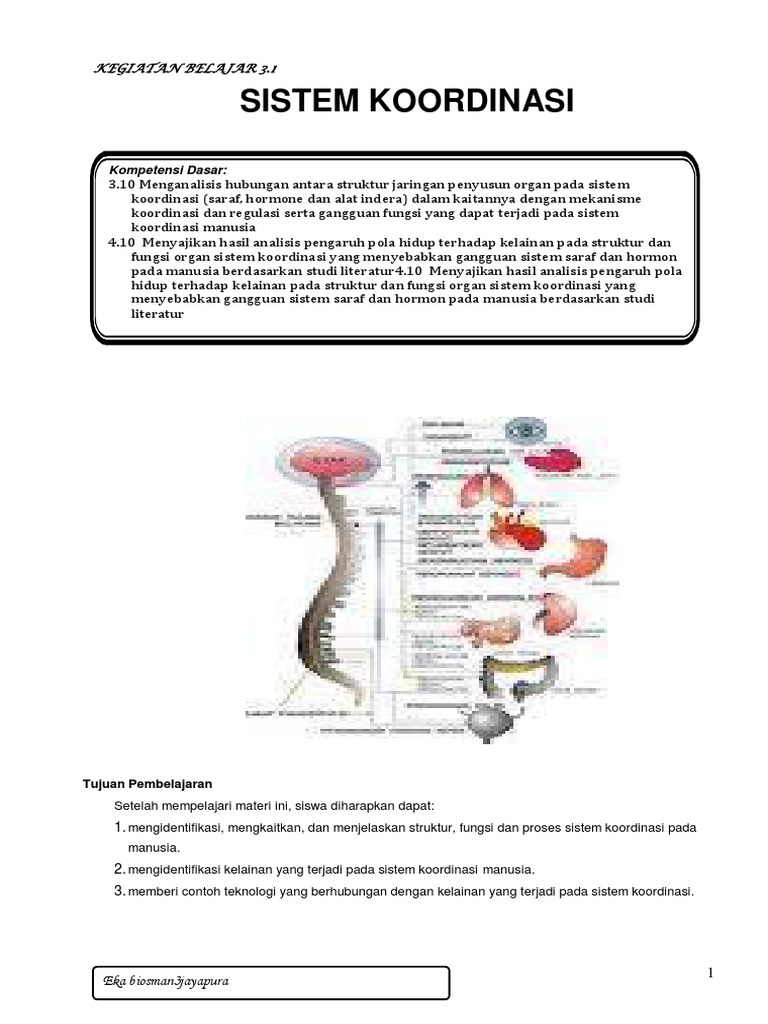 LKPD Sistem Saraf | PDF