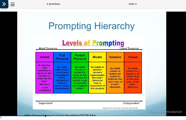 Prompting Hierarchy | PDF