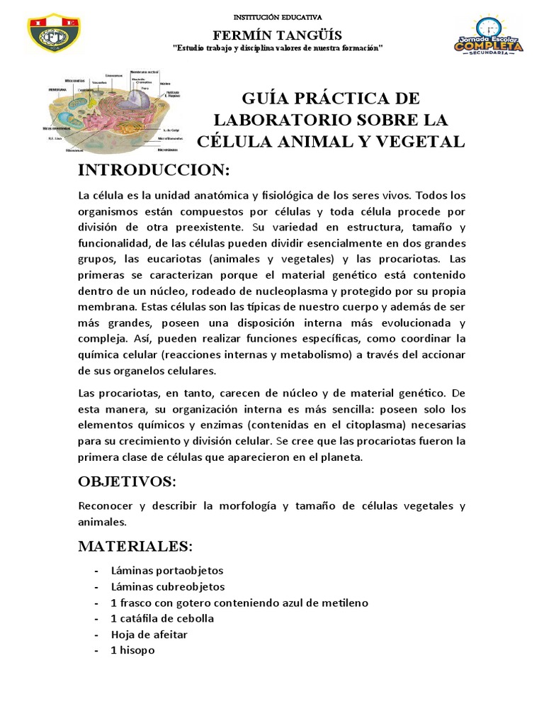 Guía Práctica de Laboratorio Sobre La Célula Animal y Vegetal | PDF ...