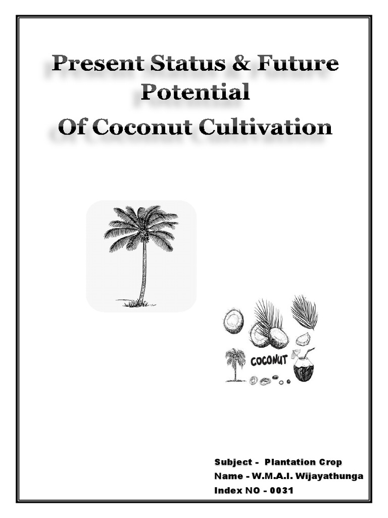 Coconut | PDF | Coconut | Agriculture