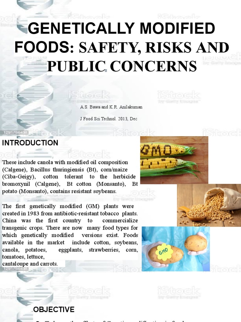 Genetically Modified Foods Safety Risks and Public Concerns 1 | PDF | Genetically Modified Food ...