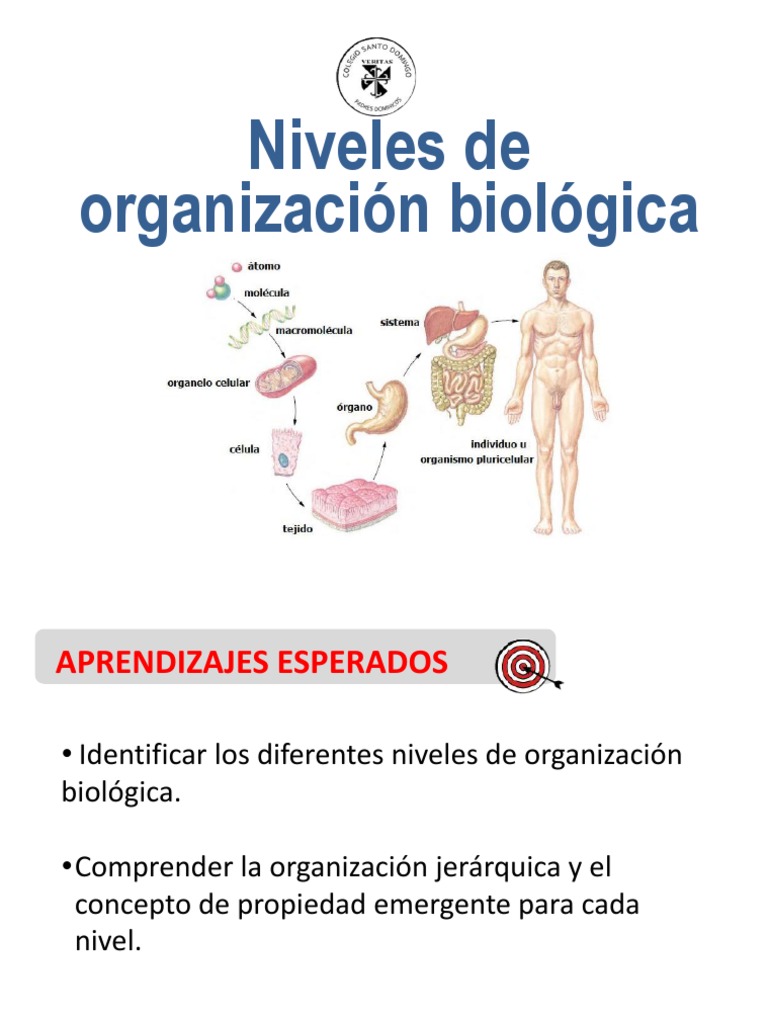 Niveles de Organización Biológica | PDF | Organismos | Biología Celular)
