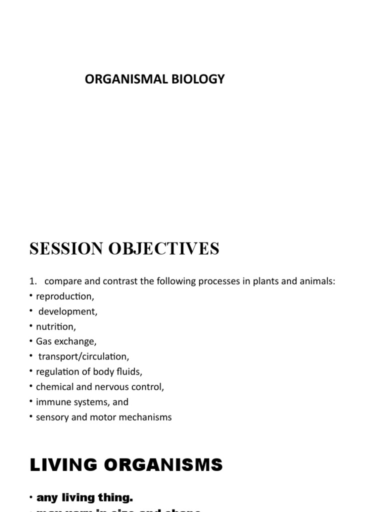 Organismal Biology | PDF | Plants | Root