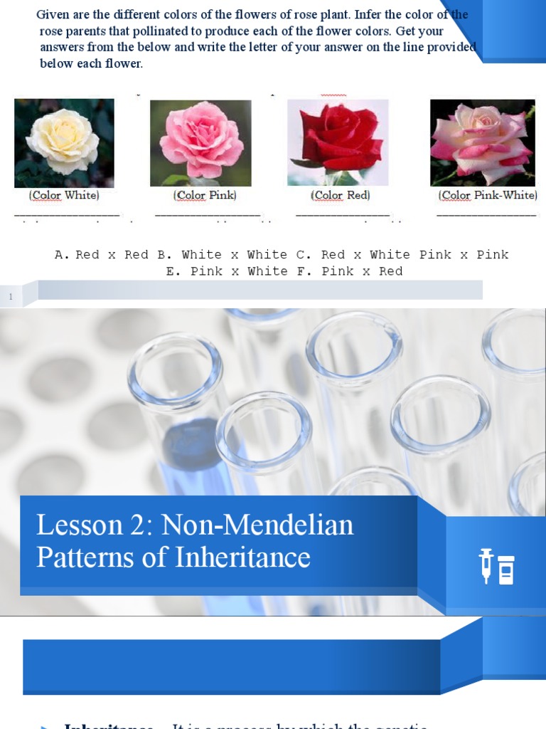 (Week 6) - Non Mendelian | PDF | Dominance (Genetics) | Genotype