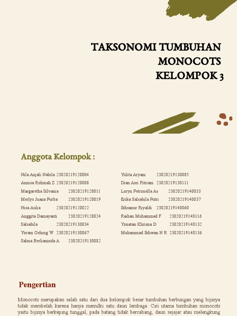 3b Revisi PPT Monocots | PDF