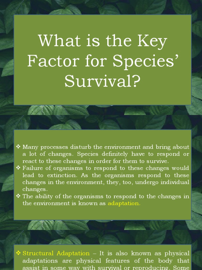 (Week 8) - Adaptation | PDF