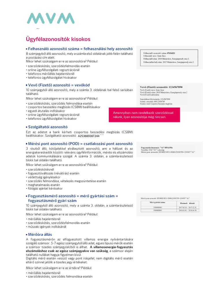 Ugyfelazonositok Kisokos MVM | PDF