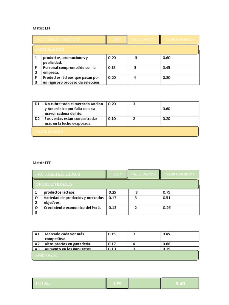 MATRIZ EFI y EFE | PDF