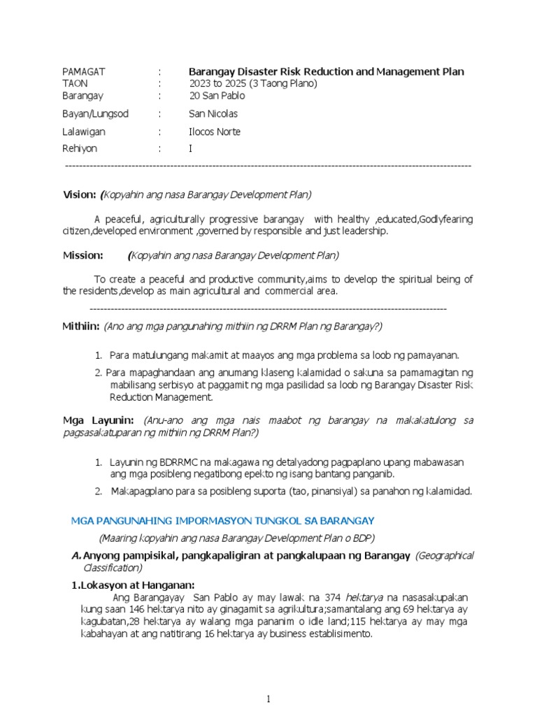 BDRRM Plan 2023 2025 | PDF