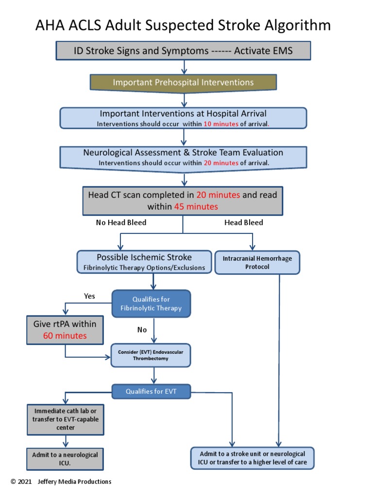 Website Adult Suspected Stroke Algorithm | PDF
