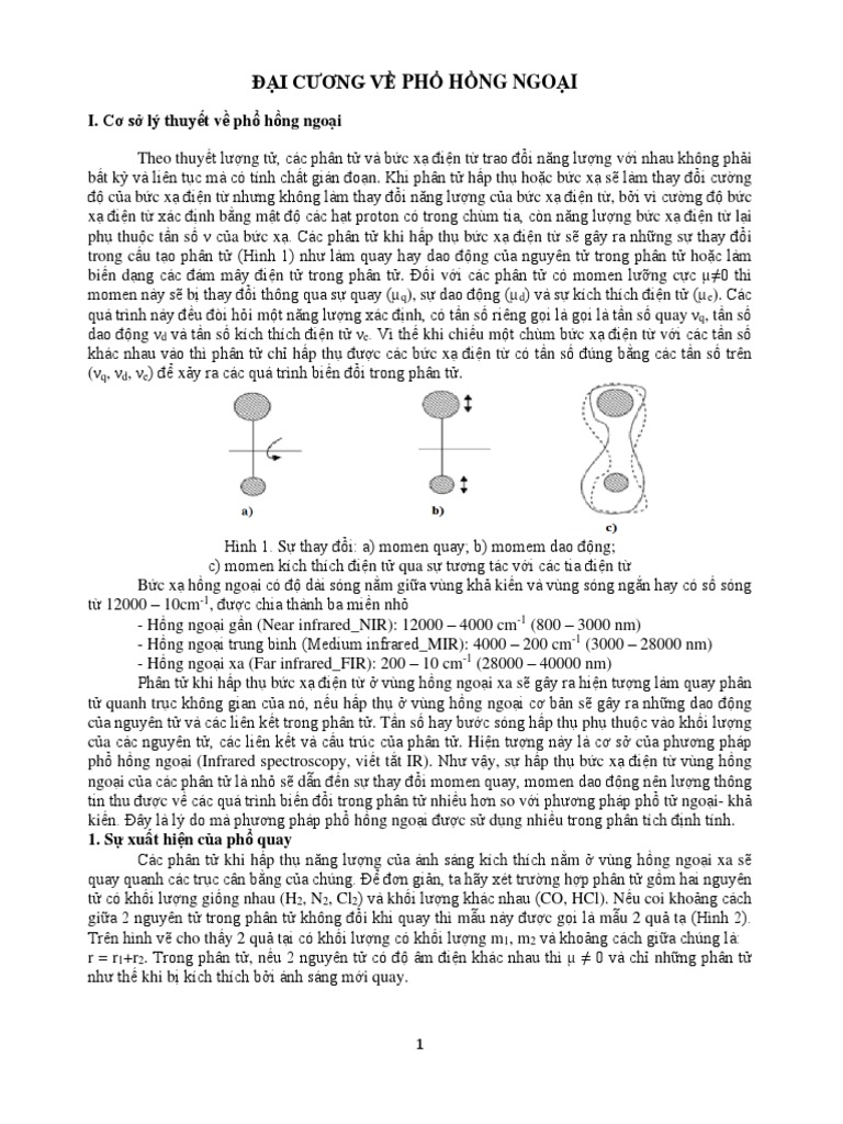 4.Đ I Cương PH H NG NGO I | PDF