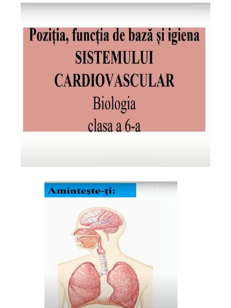 Sistemul Circulator | PDF