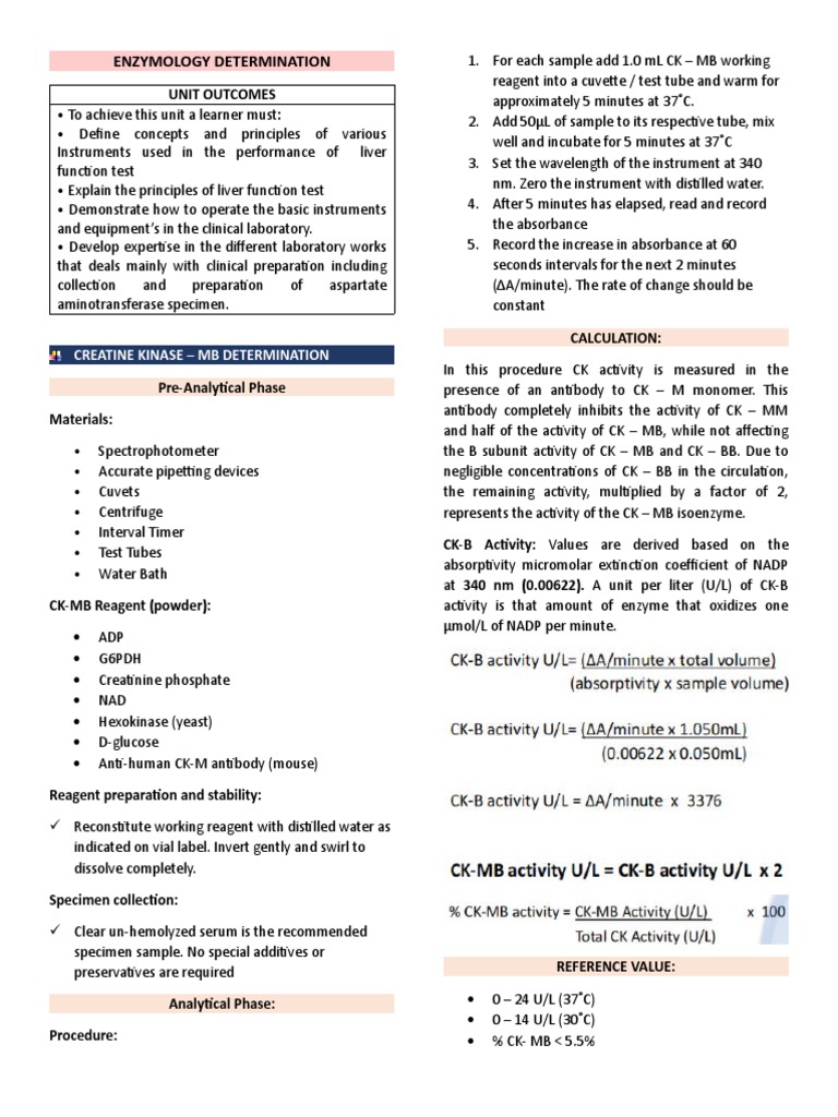 CC2 Lab | PDF | Lactate Dehydrogenase | Spectrophotometry