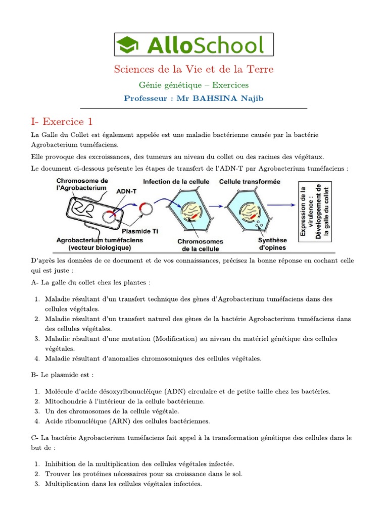 Genie Genetique Exercices 5 | PDF