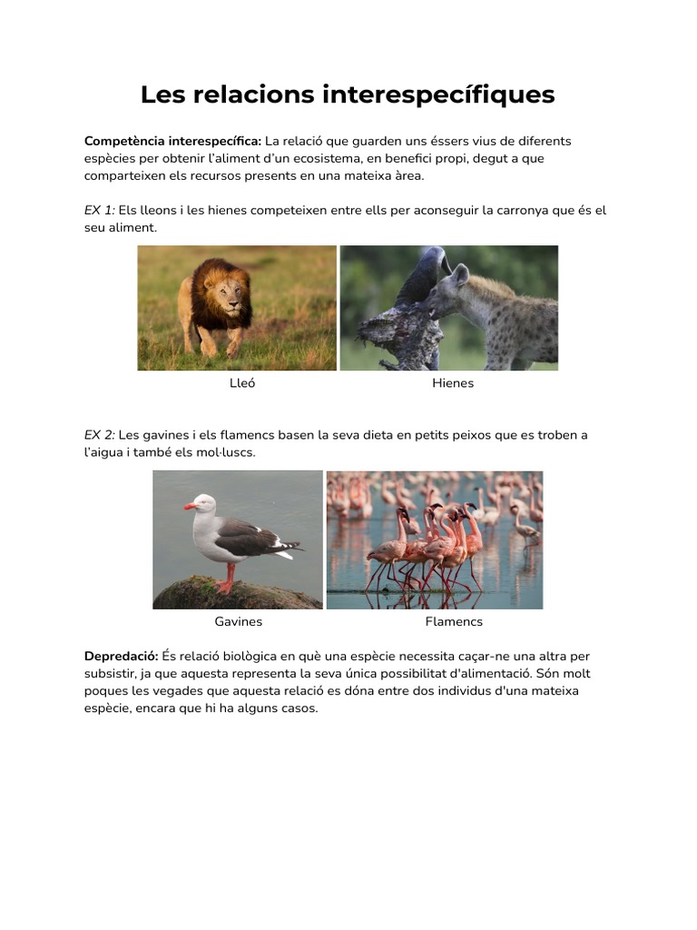 Les Relacions Interespecífiques | PDF